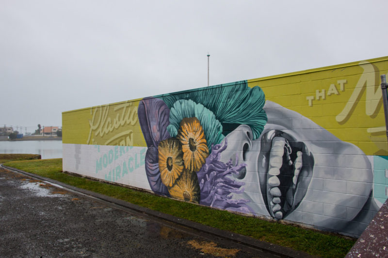 Plastic The Modern Miracle That Never Breaks Down – Sea Walls