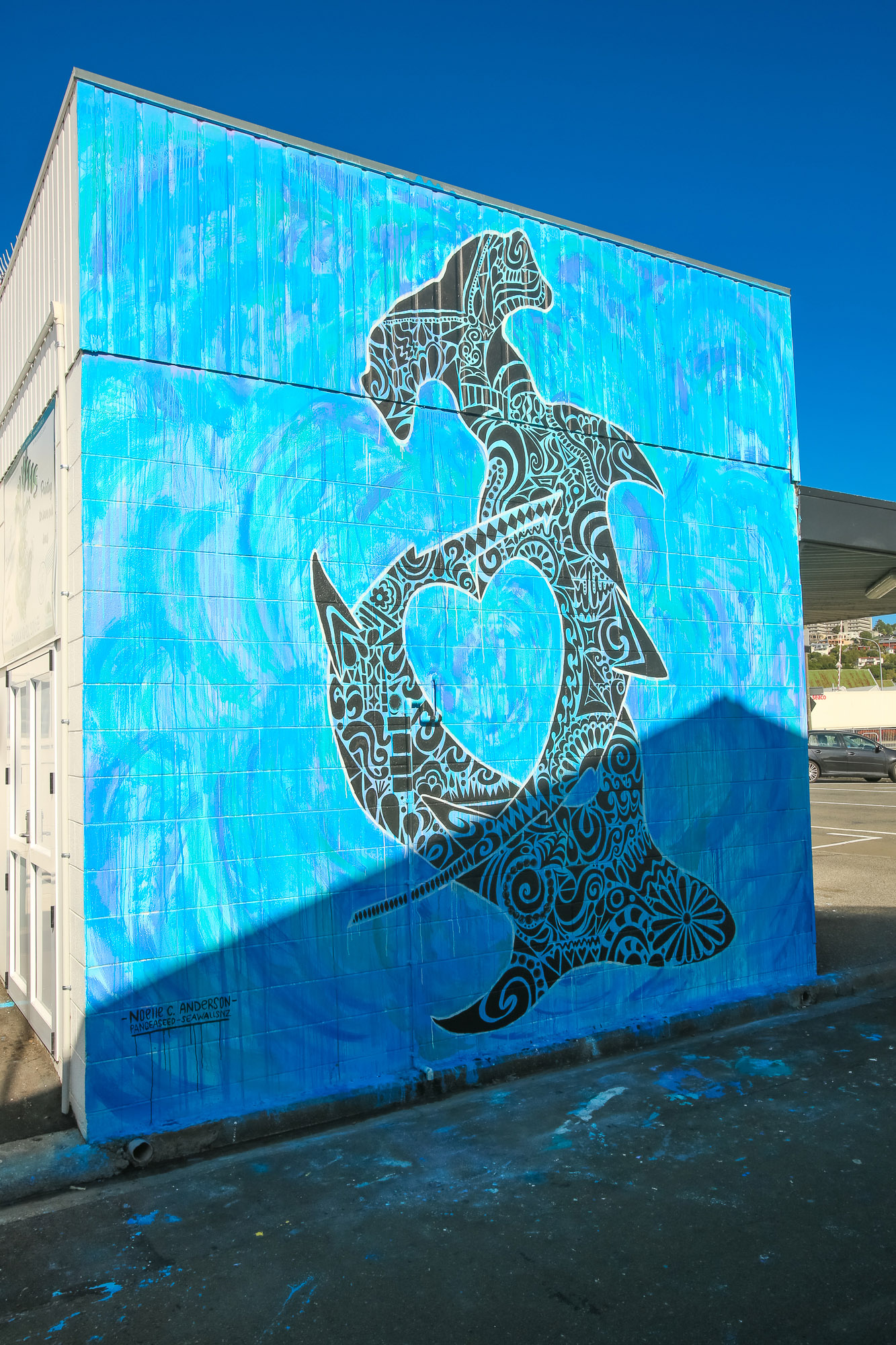 Shark Love – Sea Walls