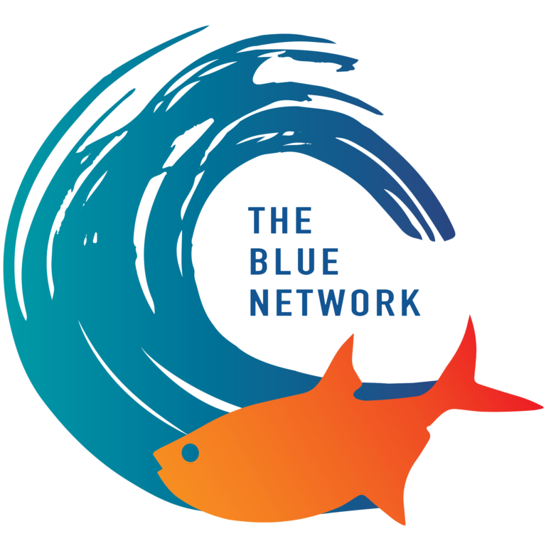 Coral Gardener – Sea Walls