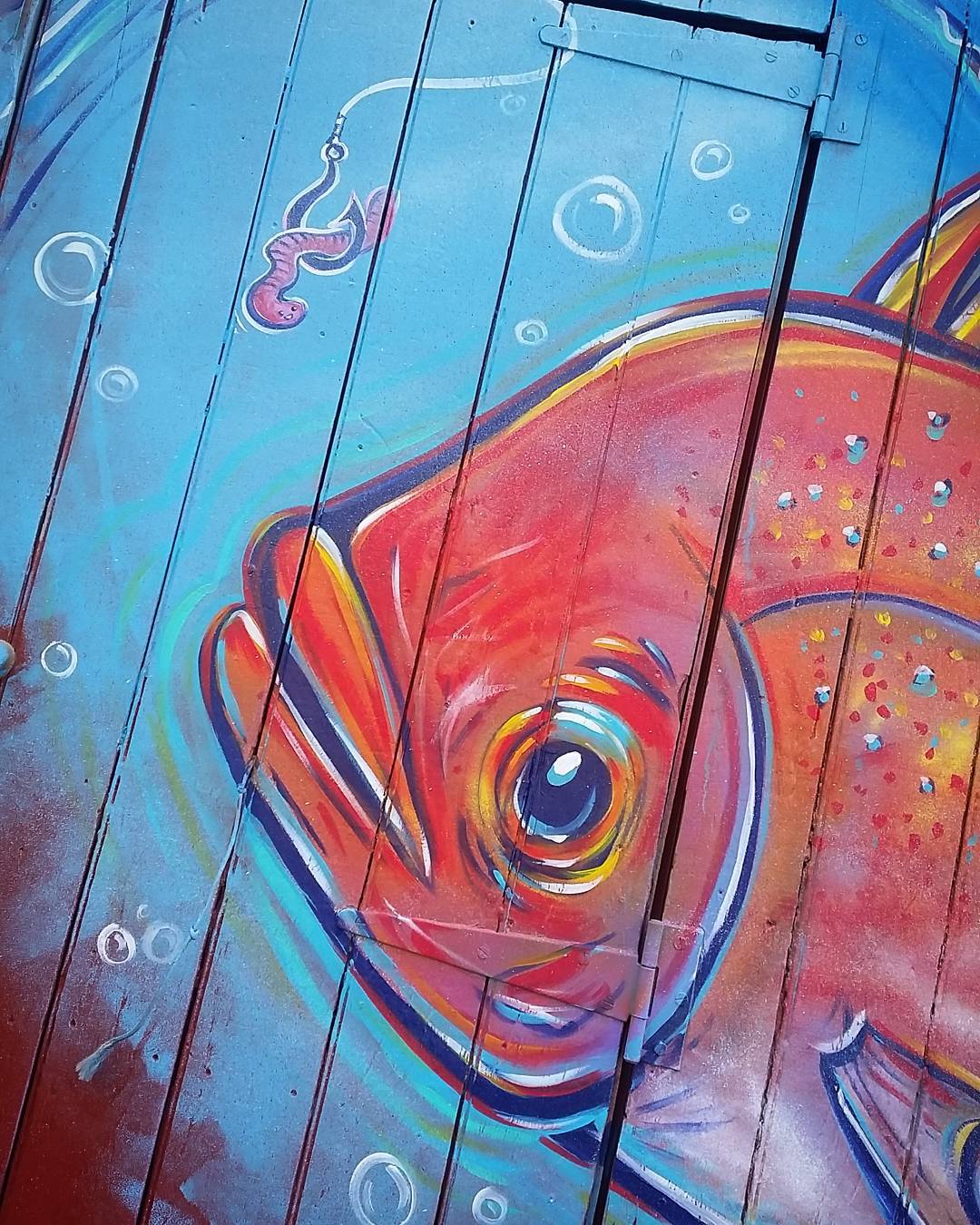Teach a Man to Fish Sustainably – Sea Walls