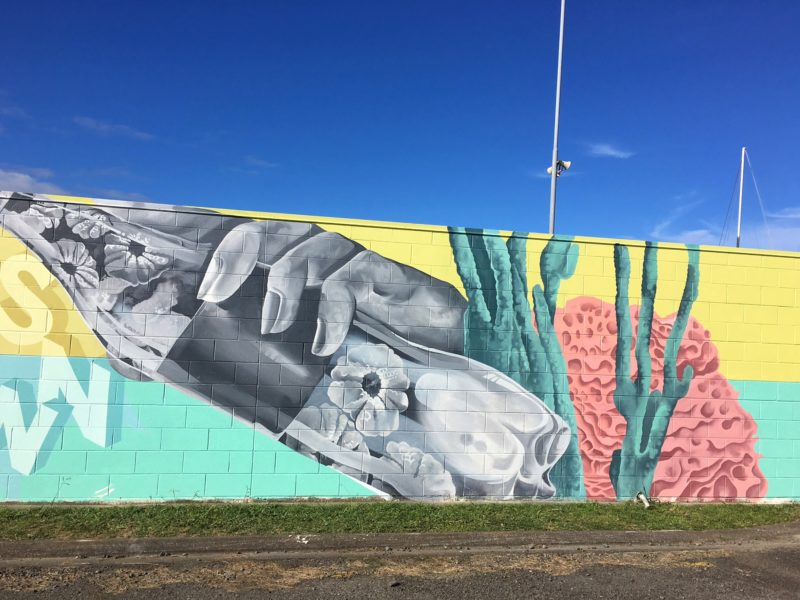 Plastic The Modern Miracle That Never Breaks Down – Sea Walls