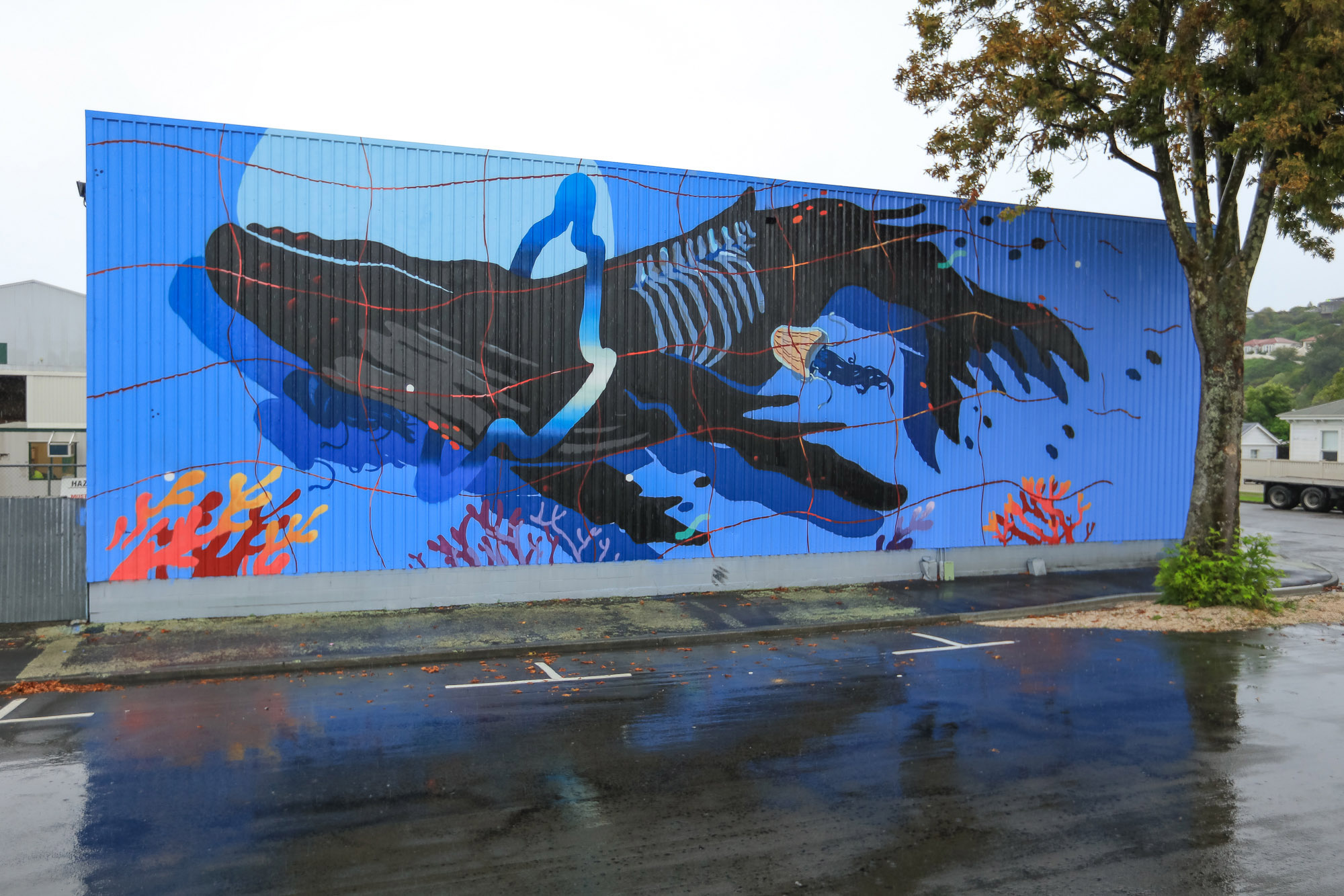 Untitled – Sea Walls