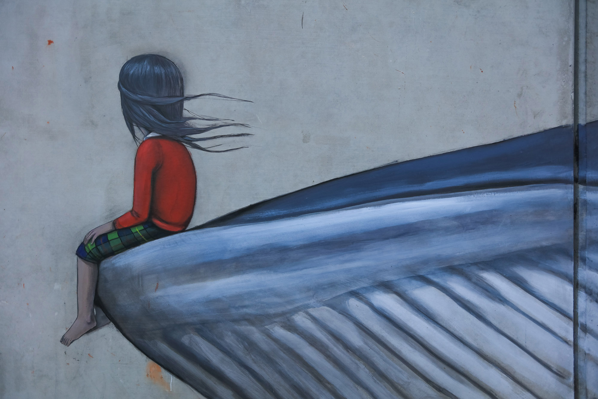 CetaceCan – Sea Walls