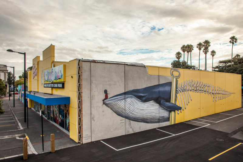 CetaceCan – Sea Walls