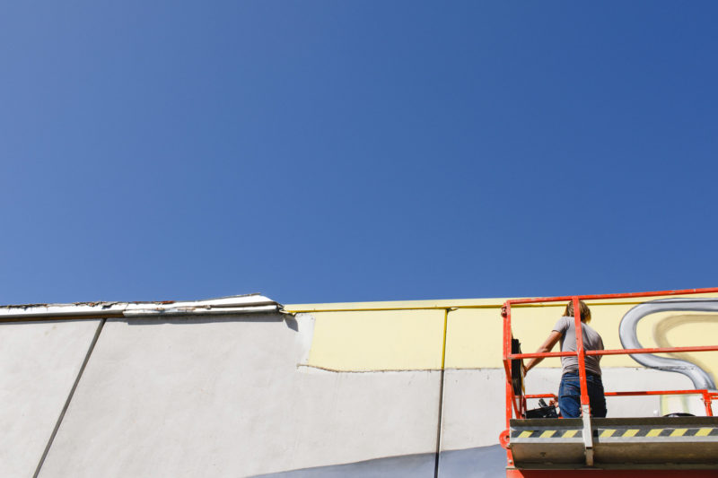 CetaceCan – Sea Walls