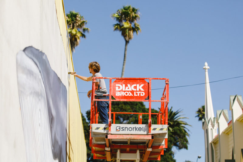 CetaceCan – Sea Walls