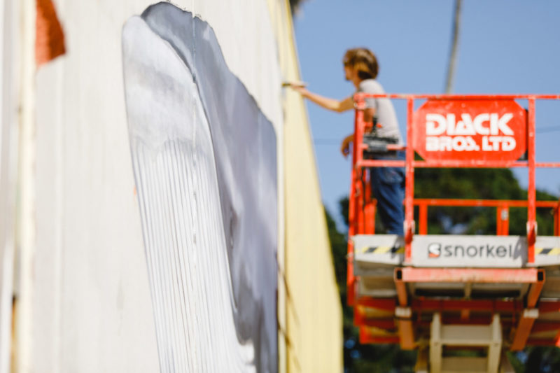 CetaceCan – Sea Walls