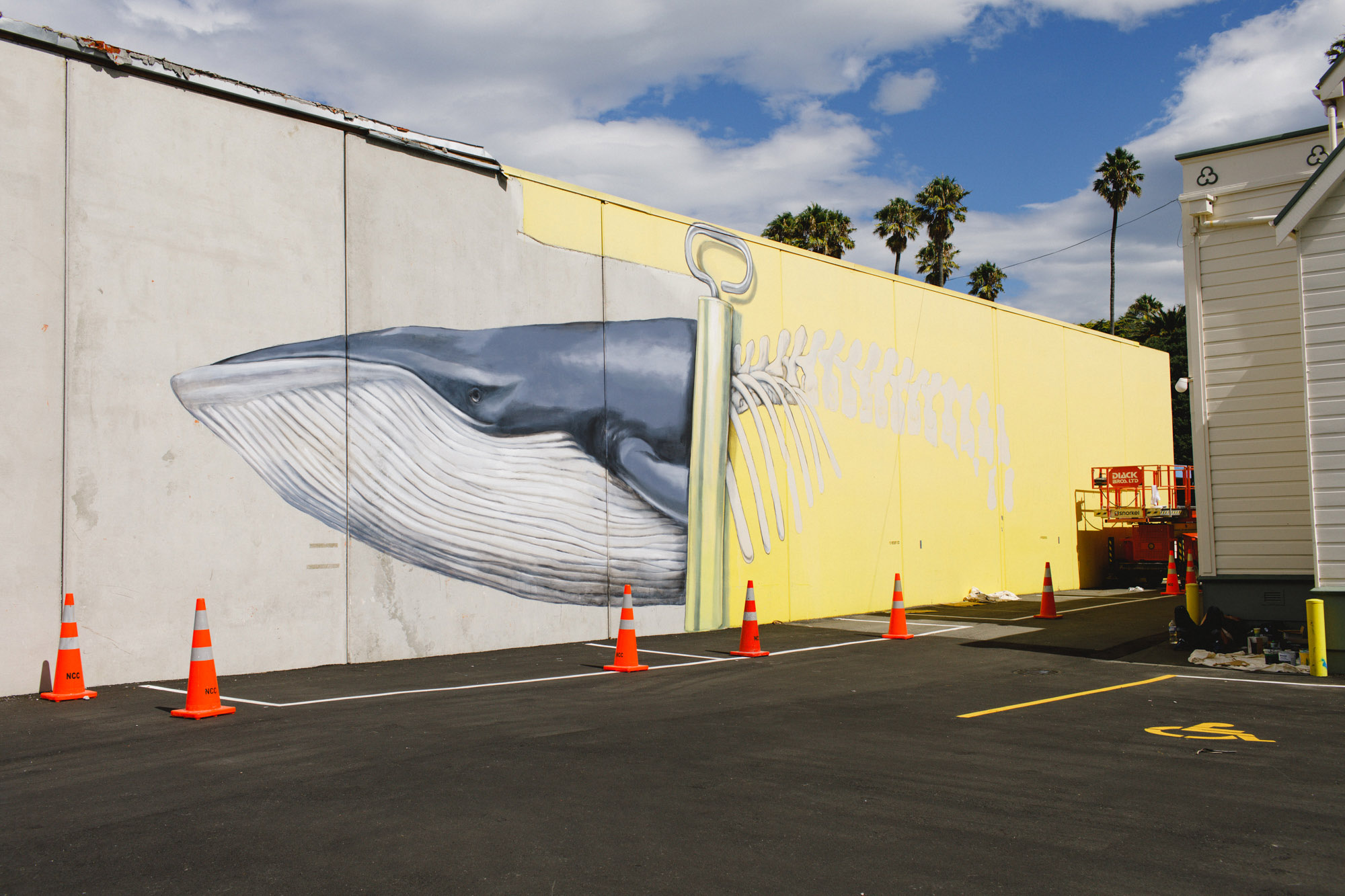 CetaceCan – Sea Walls