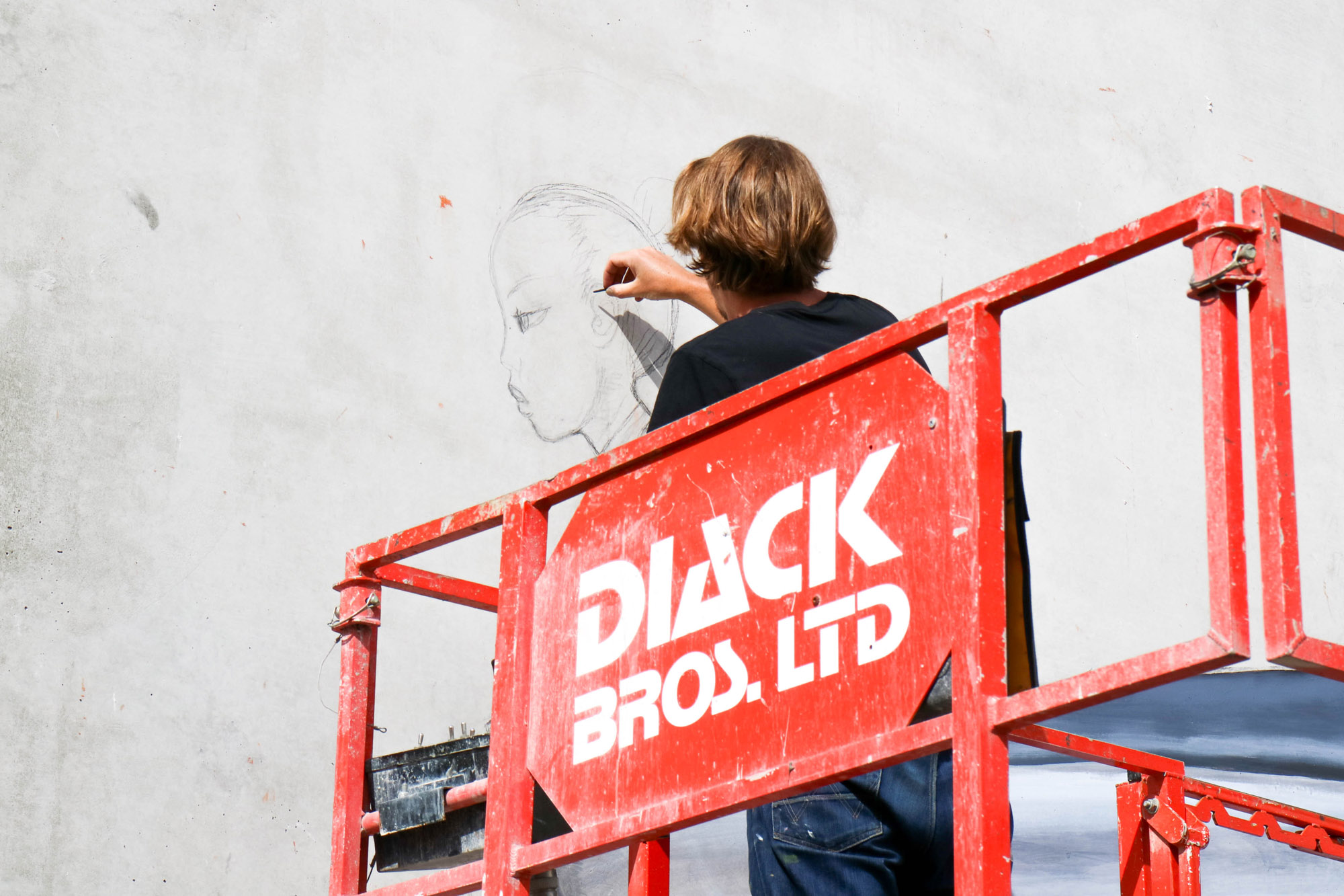 CetaceCan – Sea Walls