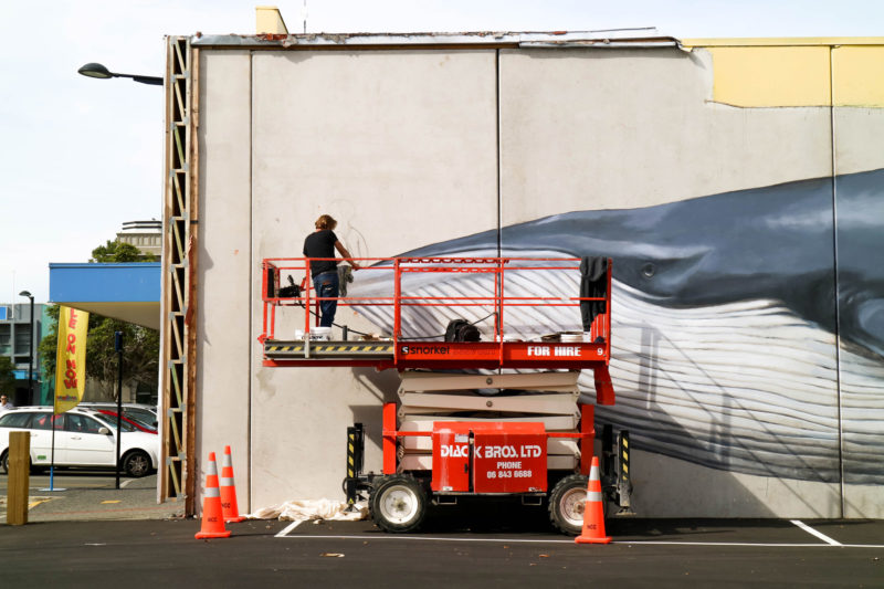 CetaceCan – Sea Walls