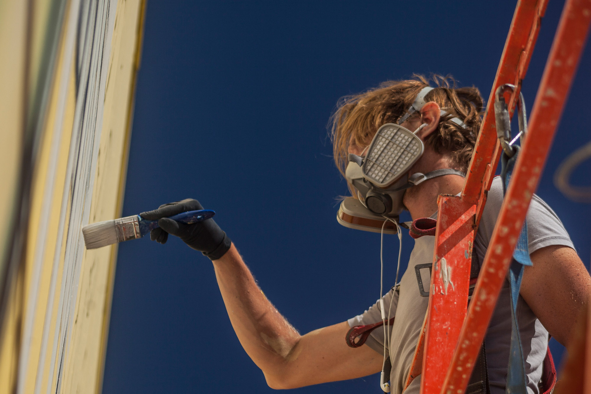 CetaceCan – Sea Walls