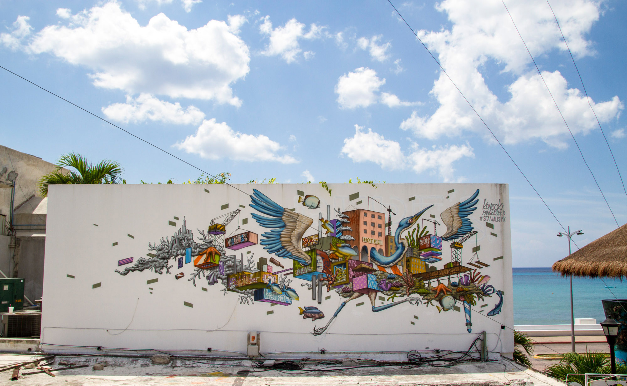 Killer Crane – Sea Walls