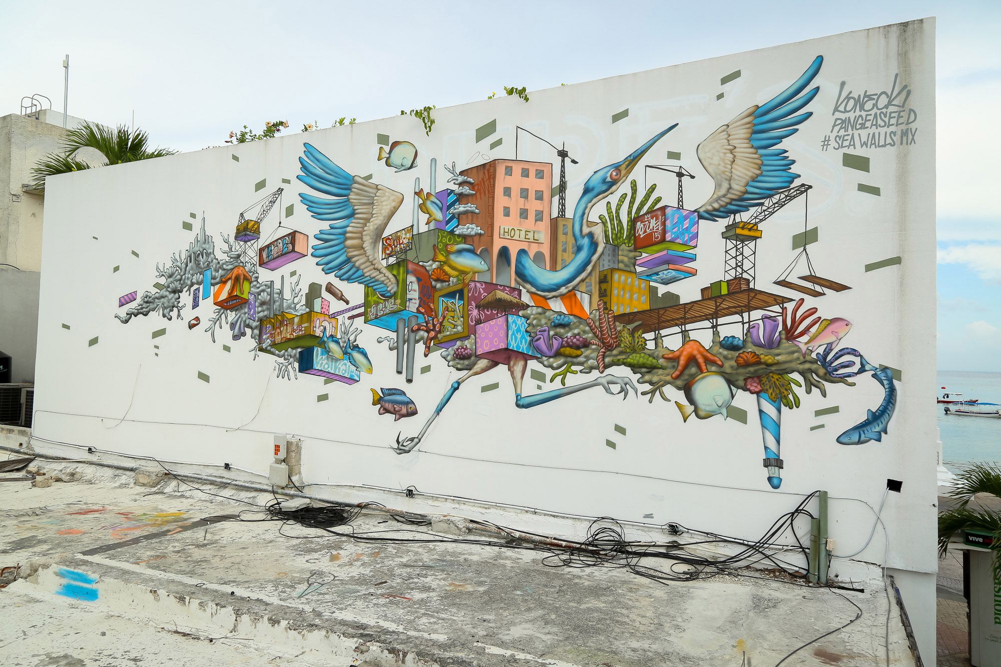 Killer Crane – Sea Walls