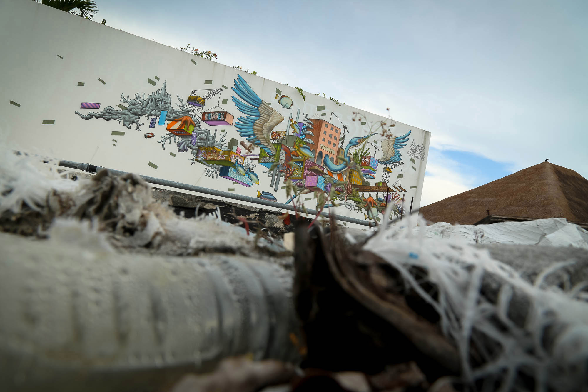 Killer Crane – Sea Walls