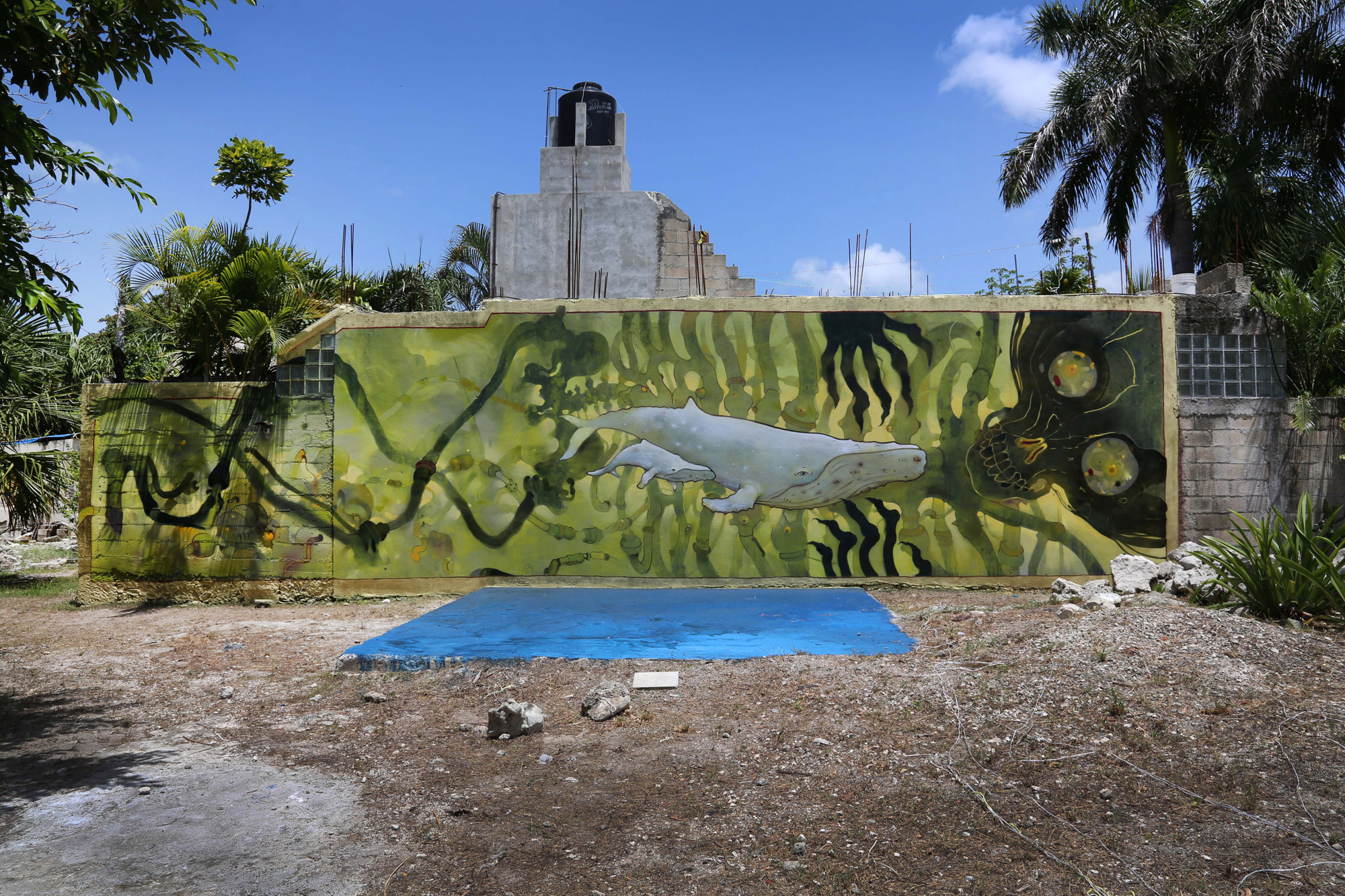 Untitled – Sea Walls