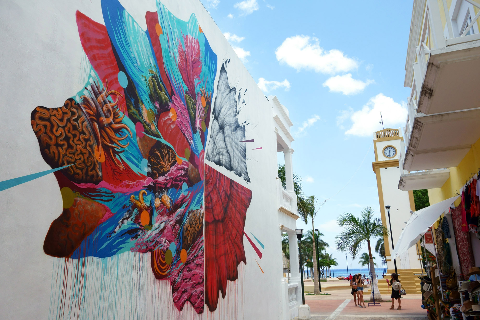 Coral Conch Shell – Sea Walls