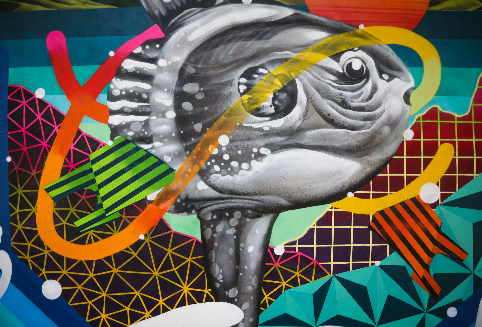 The Mola Mola and the Sea – Sea Walls