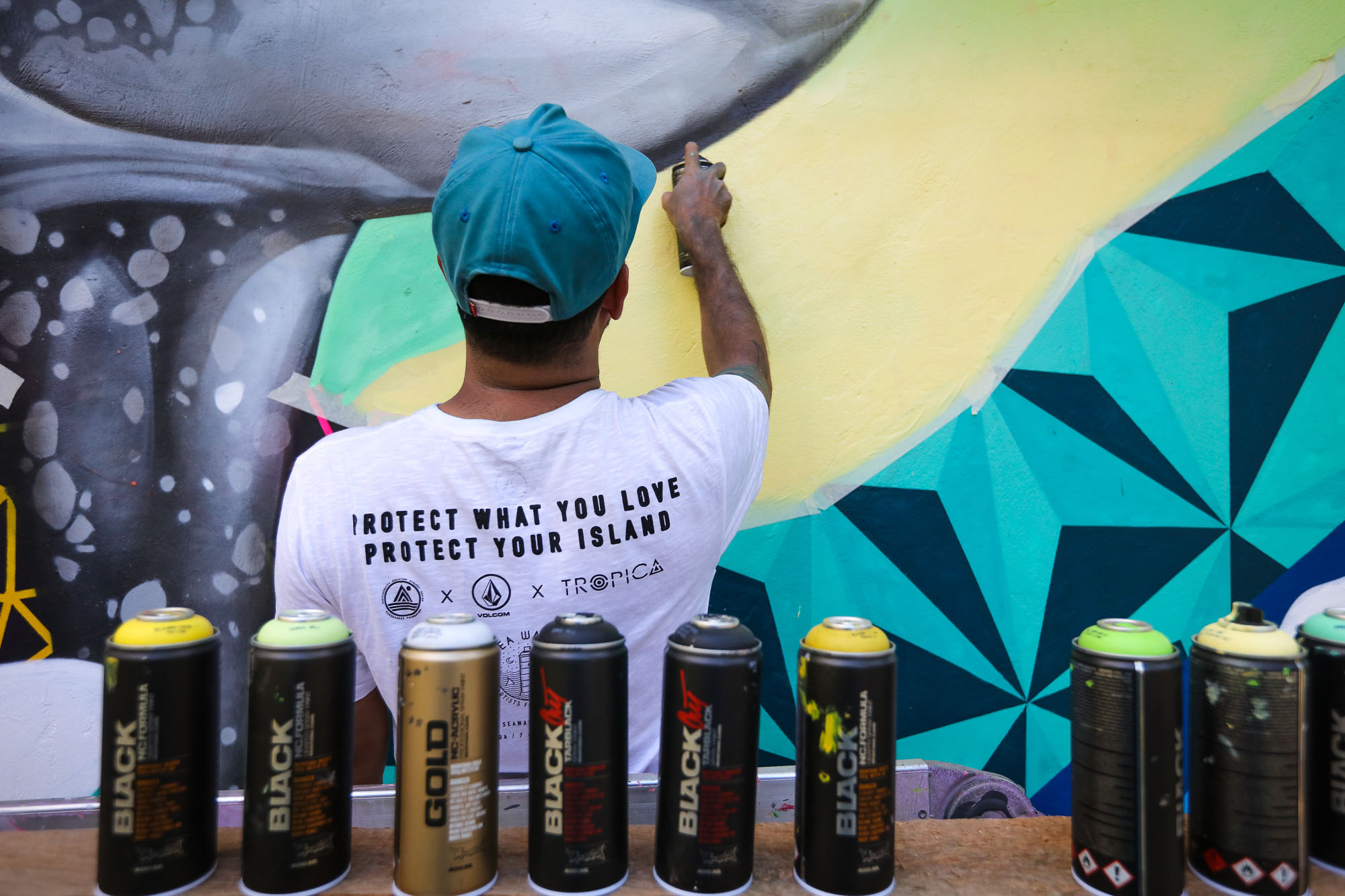 The Mola Mola and the Sea – Sea Walls