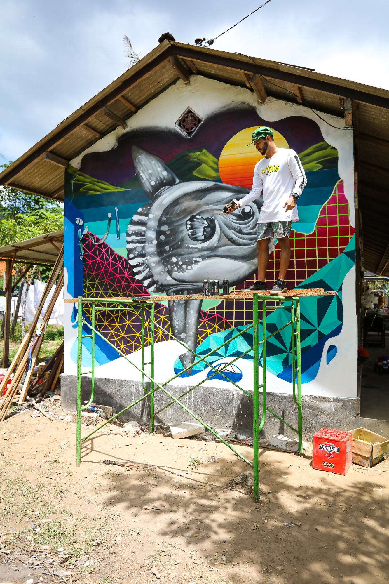 The Mola Mola and the Sea – Sea Walls