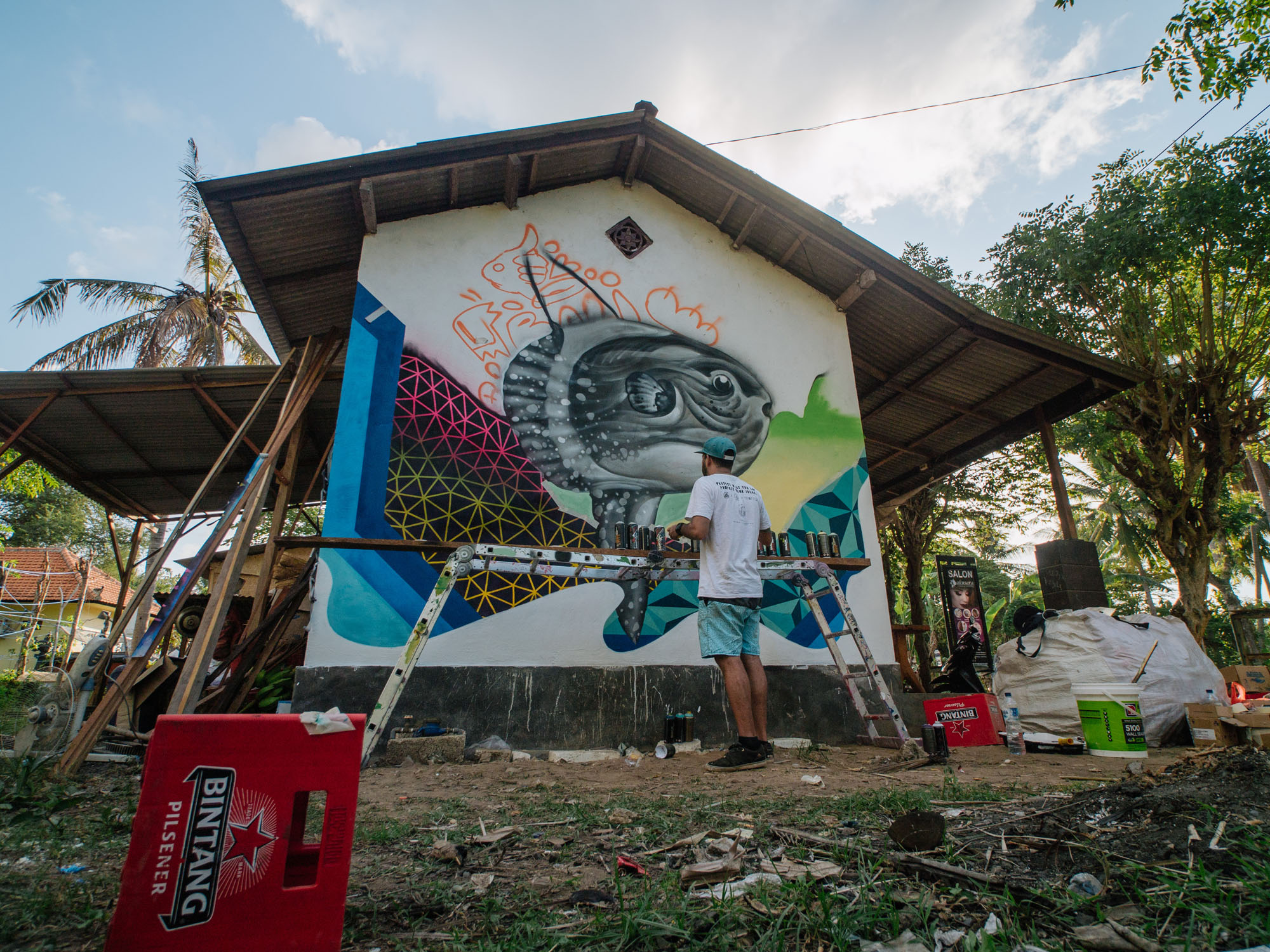 The Mola Mola and the Sea – Sea Walls