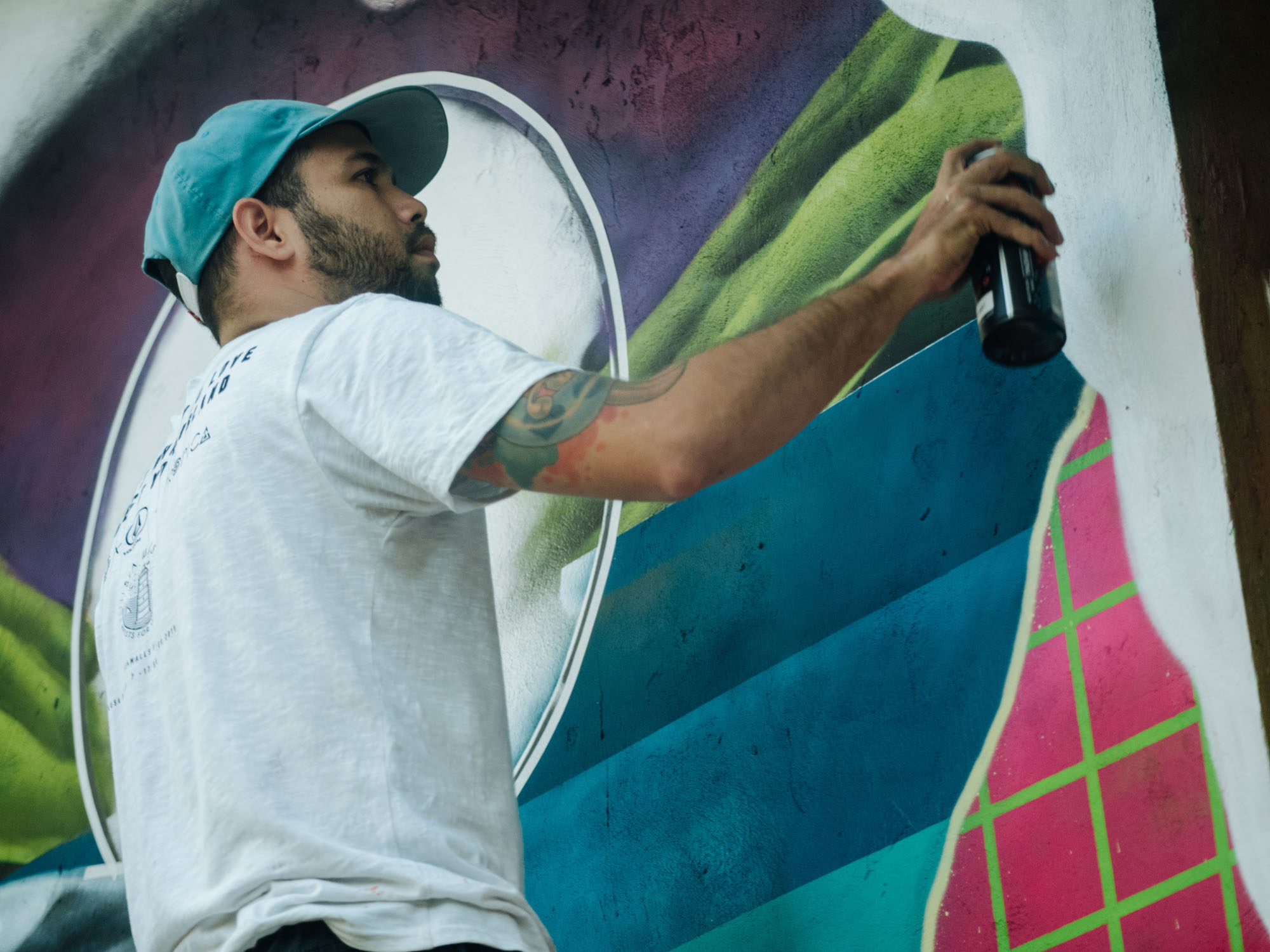 The Mola Mola and the Sea – Sea Walls