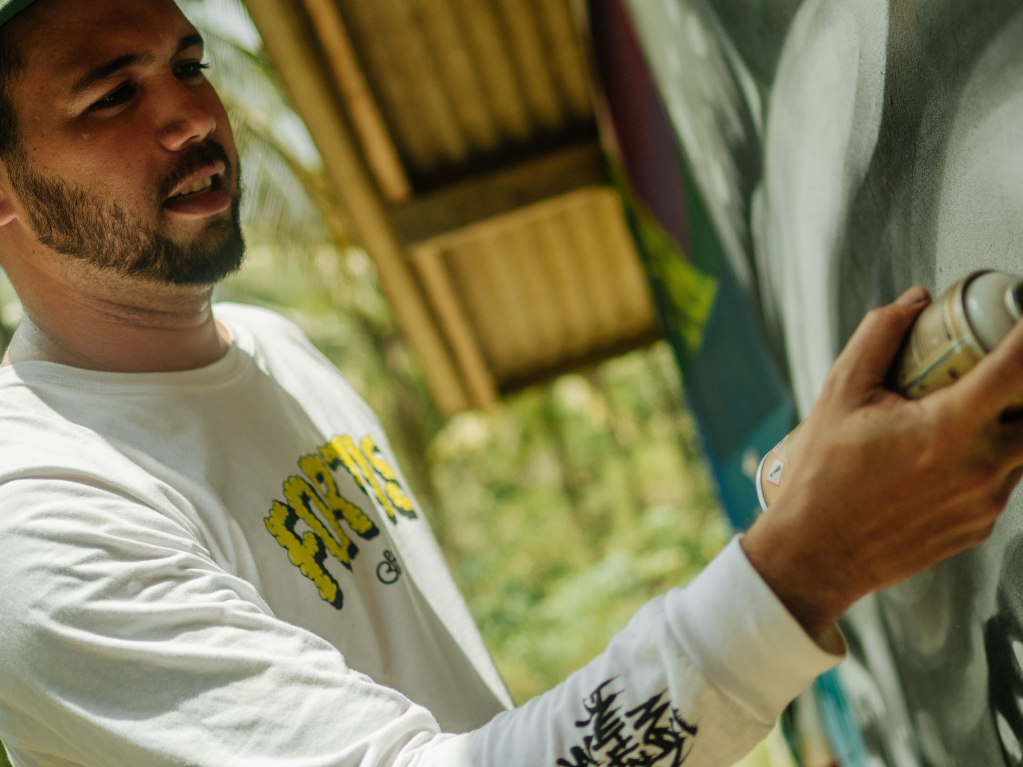 The Mola Mola and the Sea – Sea Walls