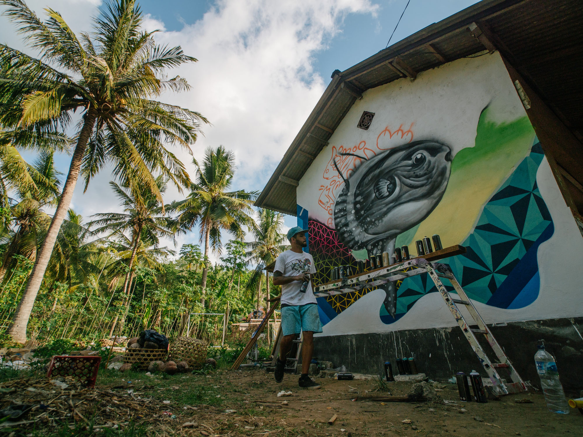 The Mola Mola and the Sea – Sea Walls