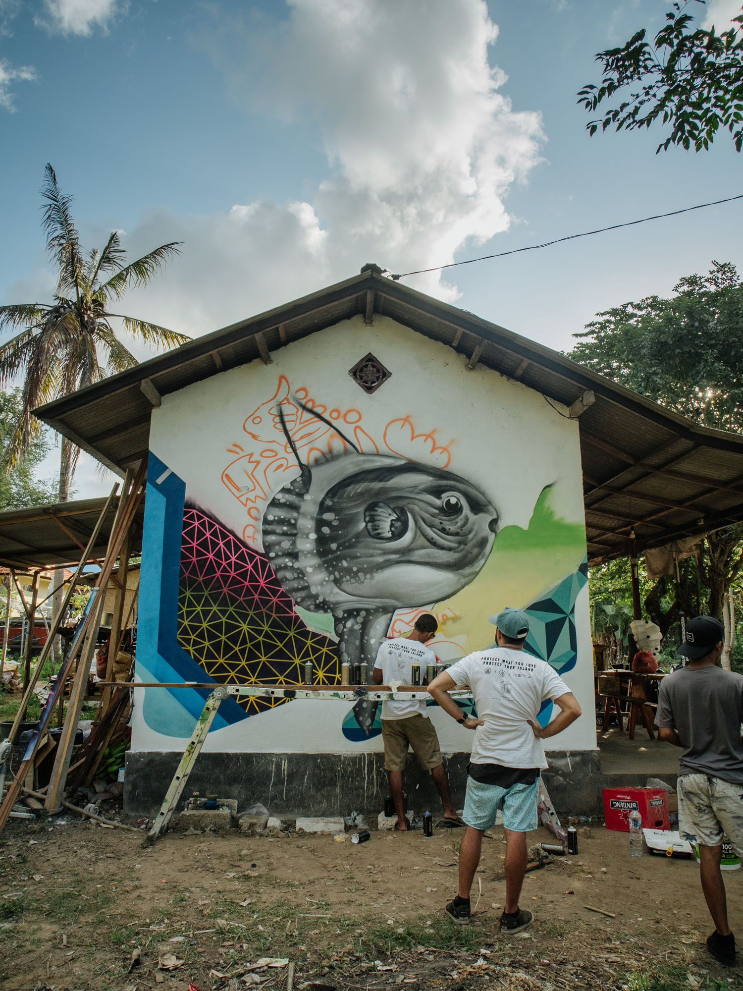 The Mola Mola and the Sea – Sea Walls