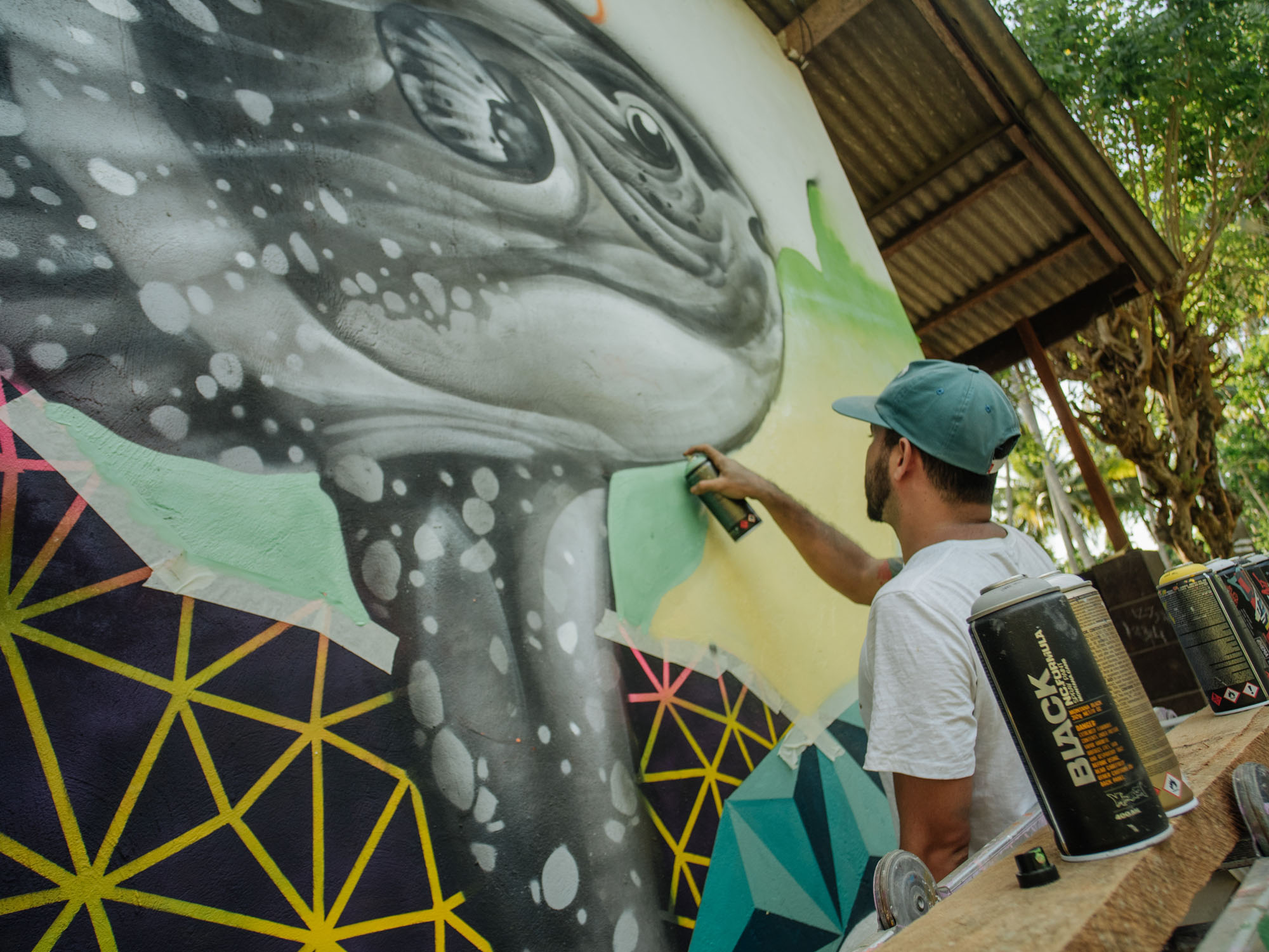 The Mola Mola and the Sea – Sea Walls