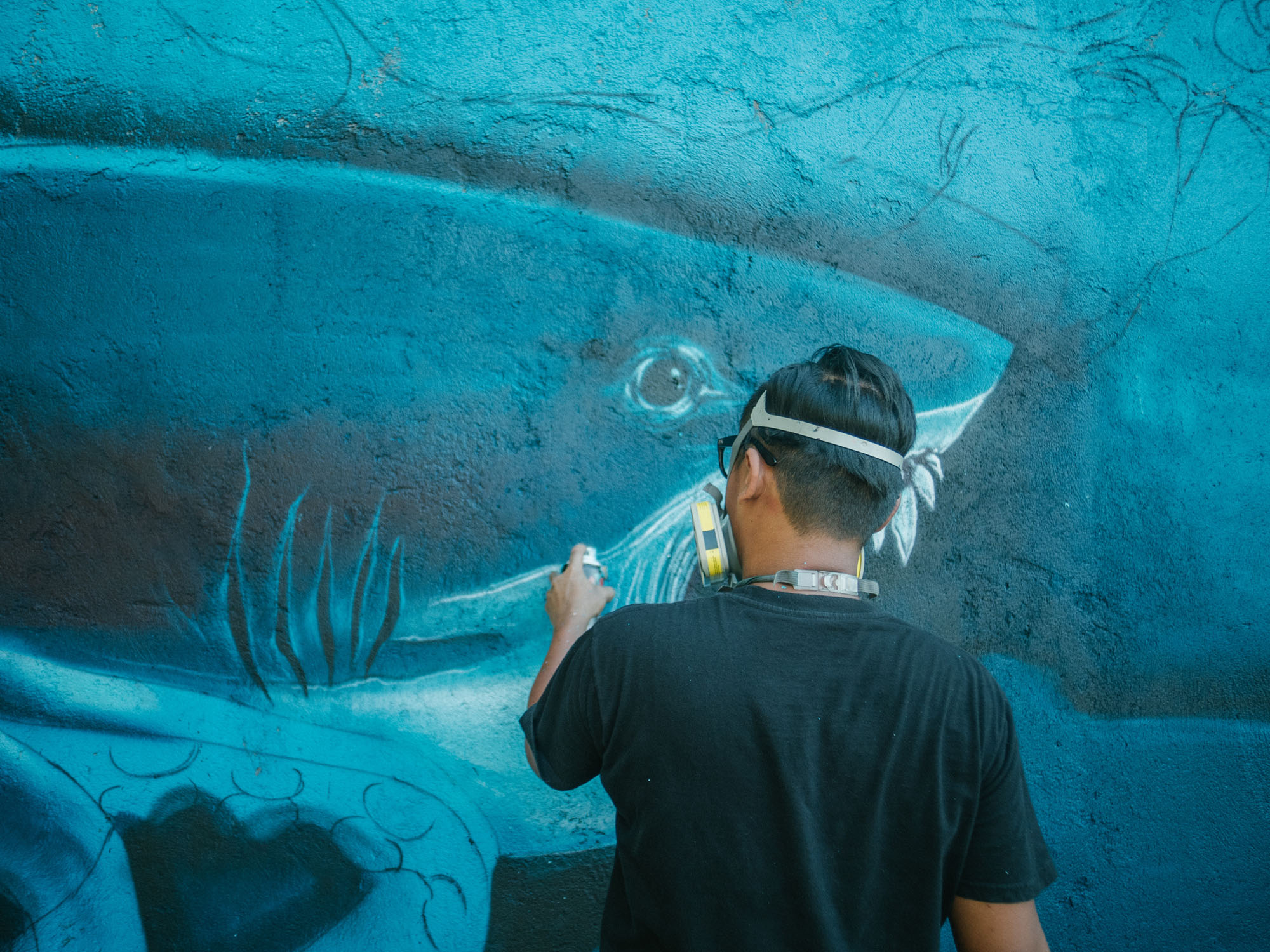 To Protect and Defend – Sea Walls