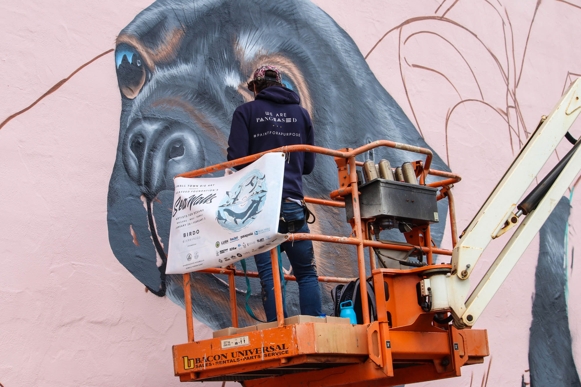 Hawaiian Monk Seal – Sea Walls