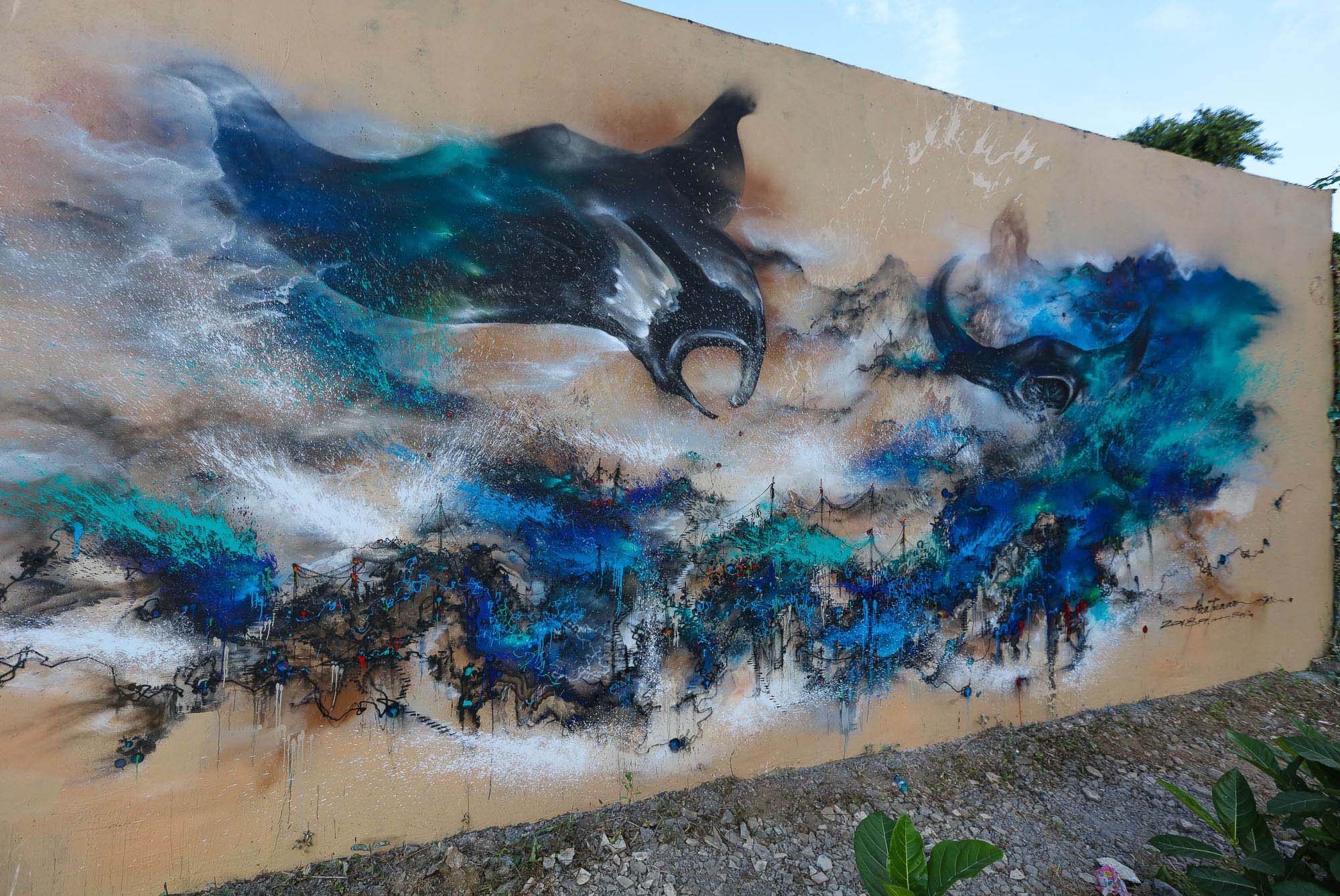 Oceanic Manta Ray – Sea Walls