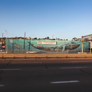 Murals – Sea Walls