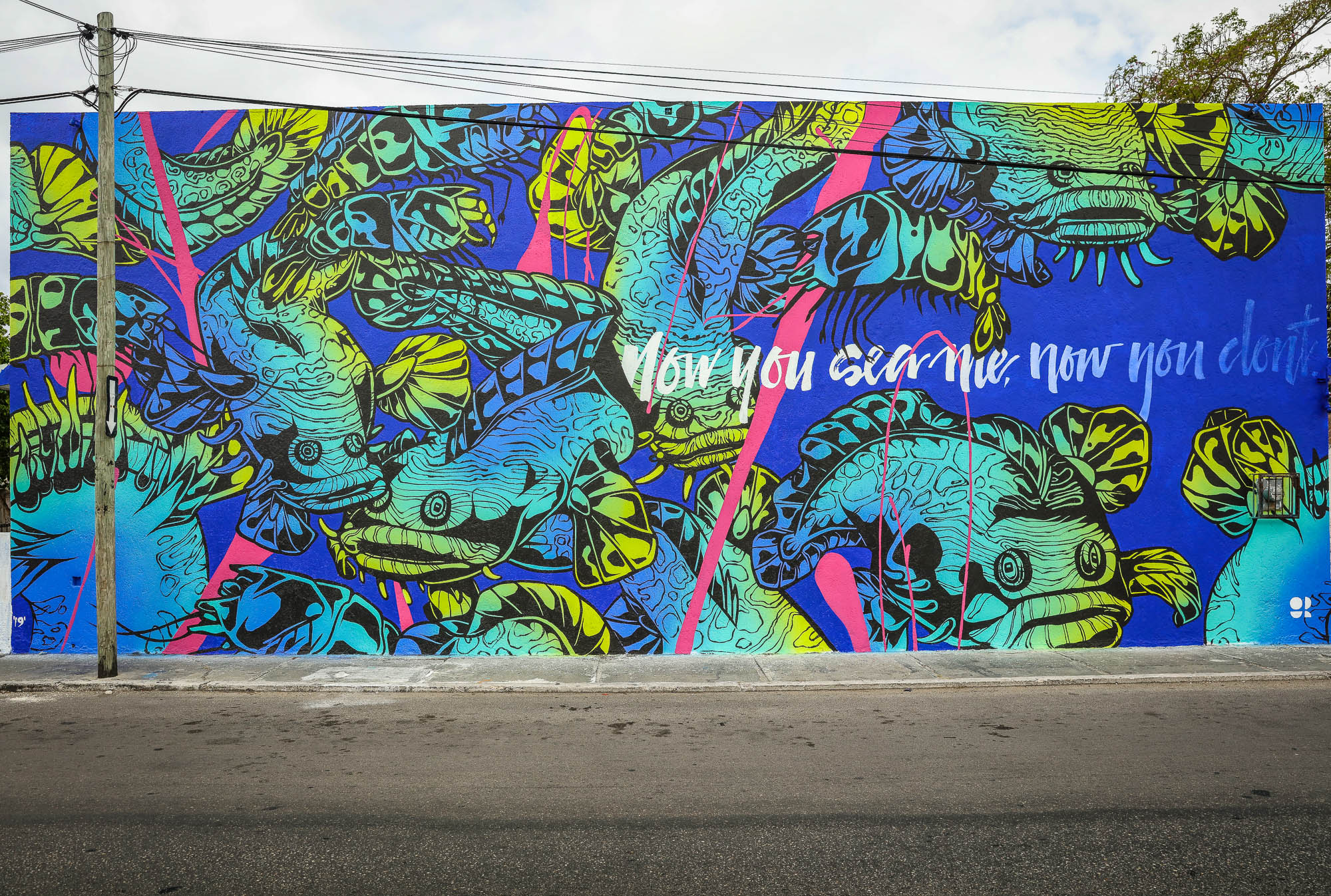 Hide and Seek – Sea Walls