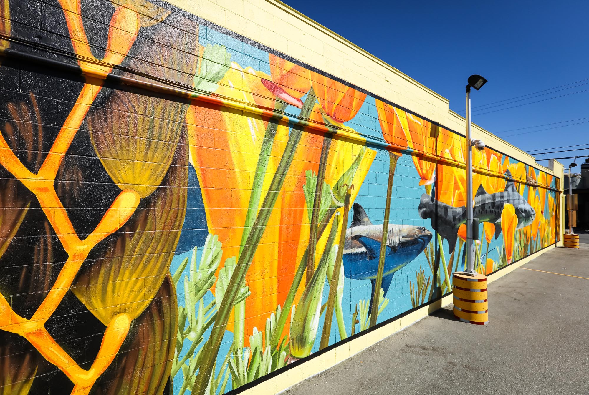 Beyond Boundaries – Sea Walls